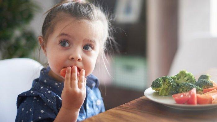 Anak Picky Eater? Kenali 4 Penyebabnya agar Tidak Salah Menangani ...