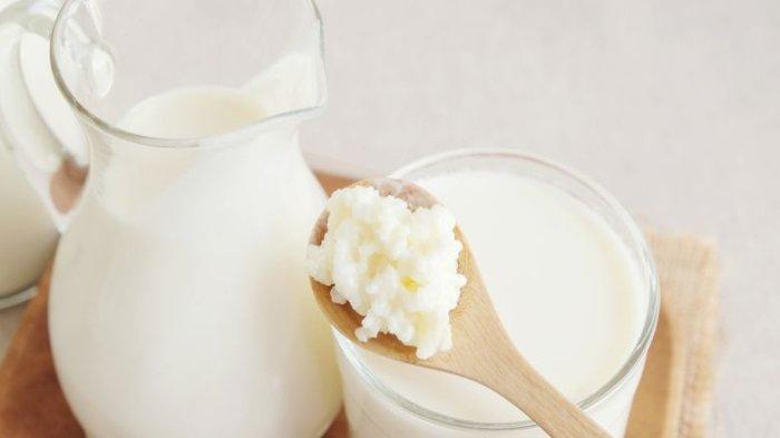 4 Minuman Probiotik Selain Kombucha yang Baik untuk Pencernaan ...