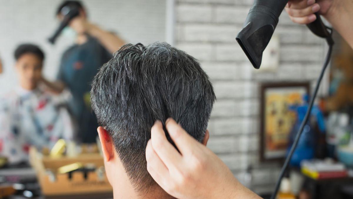 dr. Tiffany, Apakah Kekurangan Nutrisi Memengaruhi Kesehatan Rambut ...