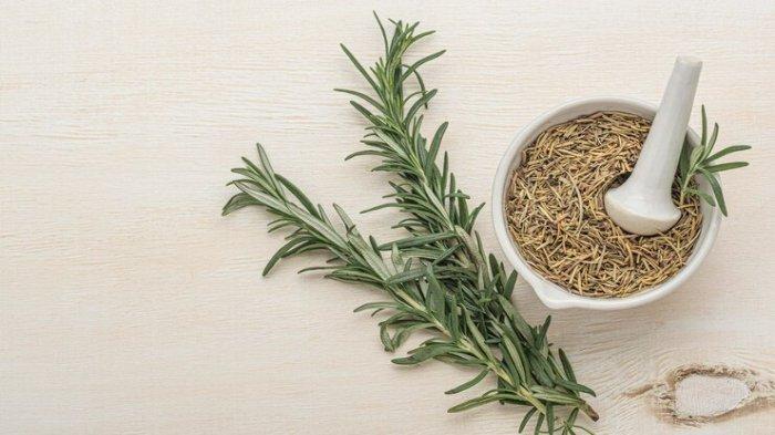 10 Rempah dan Herbal yang Dipercaya Membantu Menjaga Kesehatan Tubuh ...